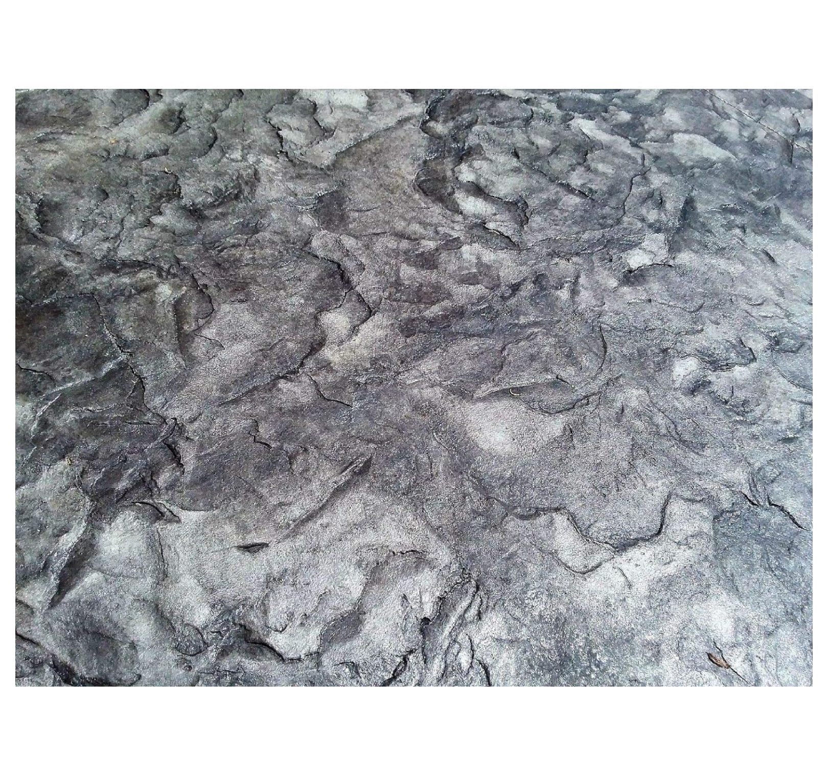 Decorative Concrete Overlay Tool 2ft X 2ft Seamless Concrete Stamp ...