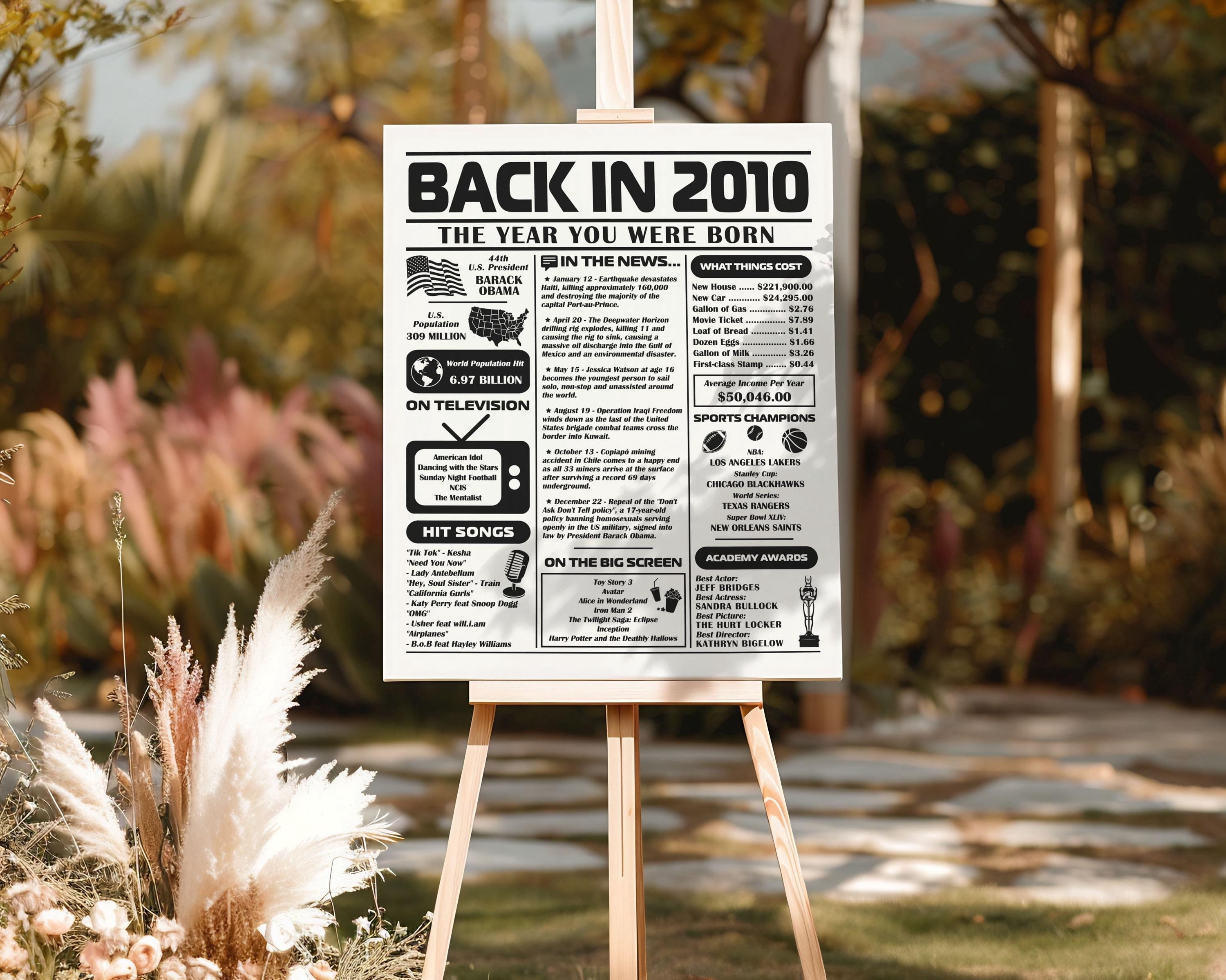 MYYUK Personalized 2010 Birthday Facts Poster, 15th Birthday Gift ...