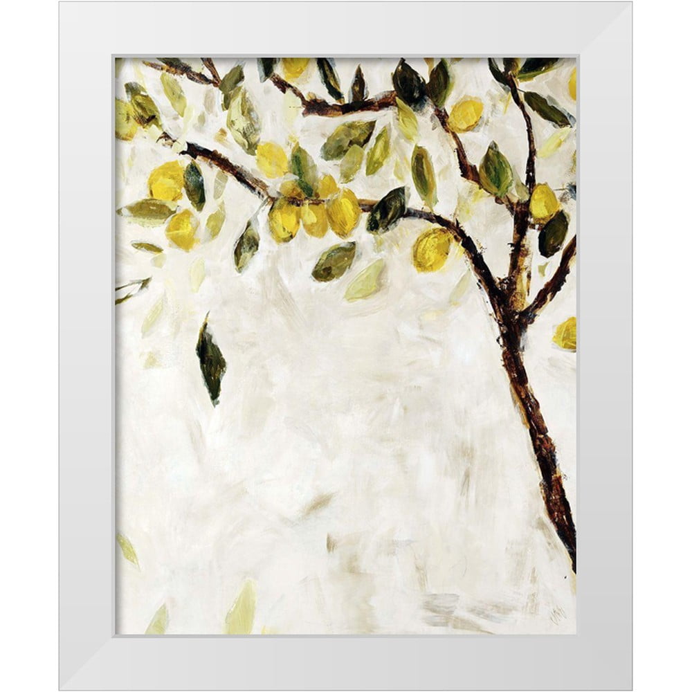 Maas, Jodi 26x32 White Modern Wood Framed Museum Art Print Titled - Meyer Lemon Tree - Walmart.com