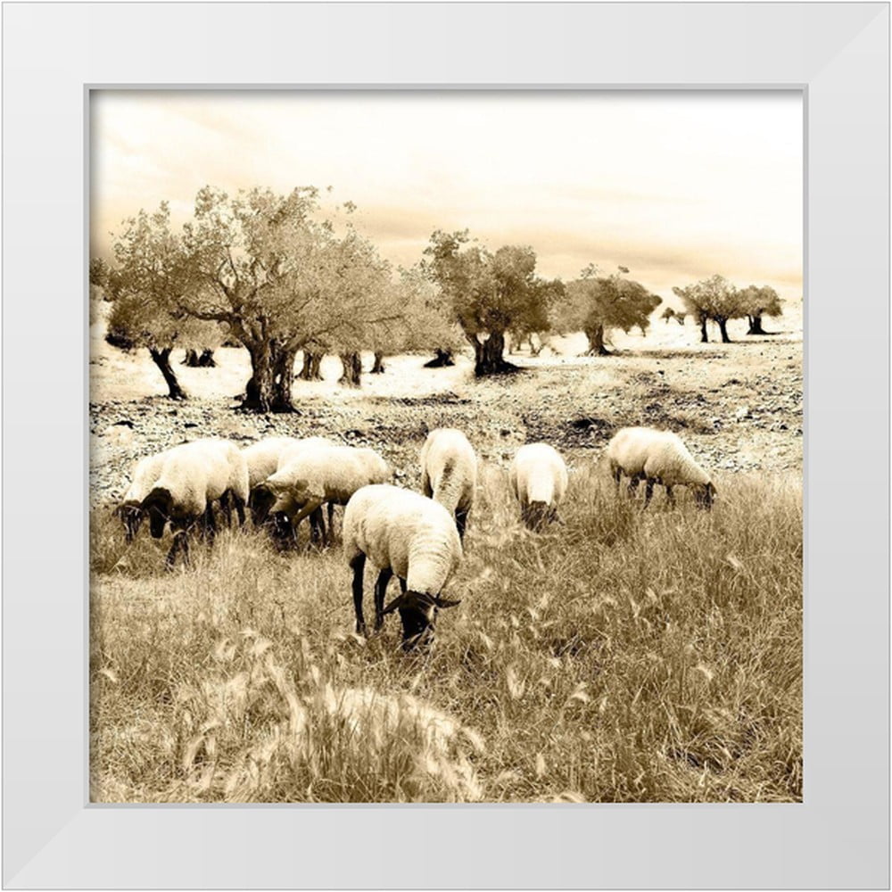 Mabat, Ynon 12x12 White Modern Wood Framed Museum Art Print Titled ...