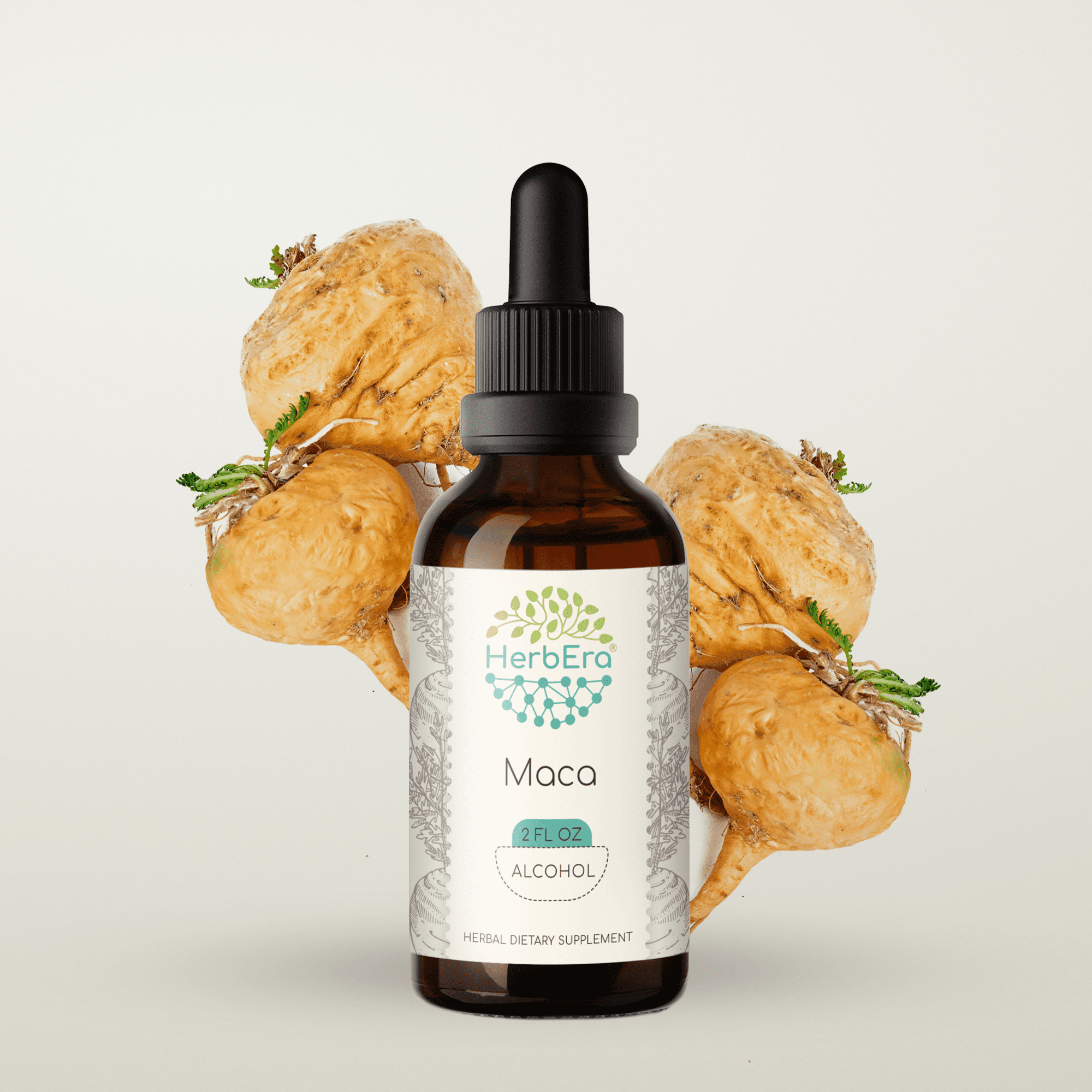 Maca Alcohol Herbal Extract Tincture, Super-Concentrated Maca (Lepidium ...