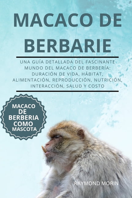 Macaco de Berbarie: Una guía detallada del fascinante mundo del macaco ...