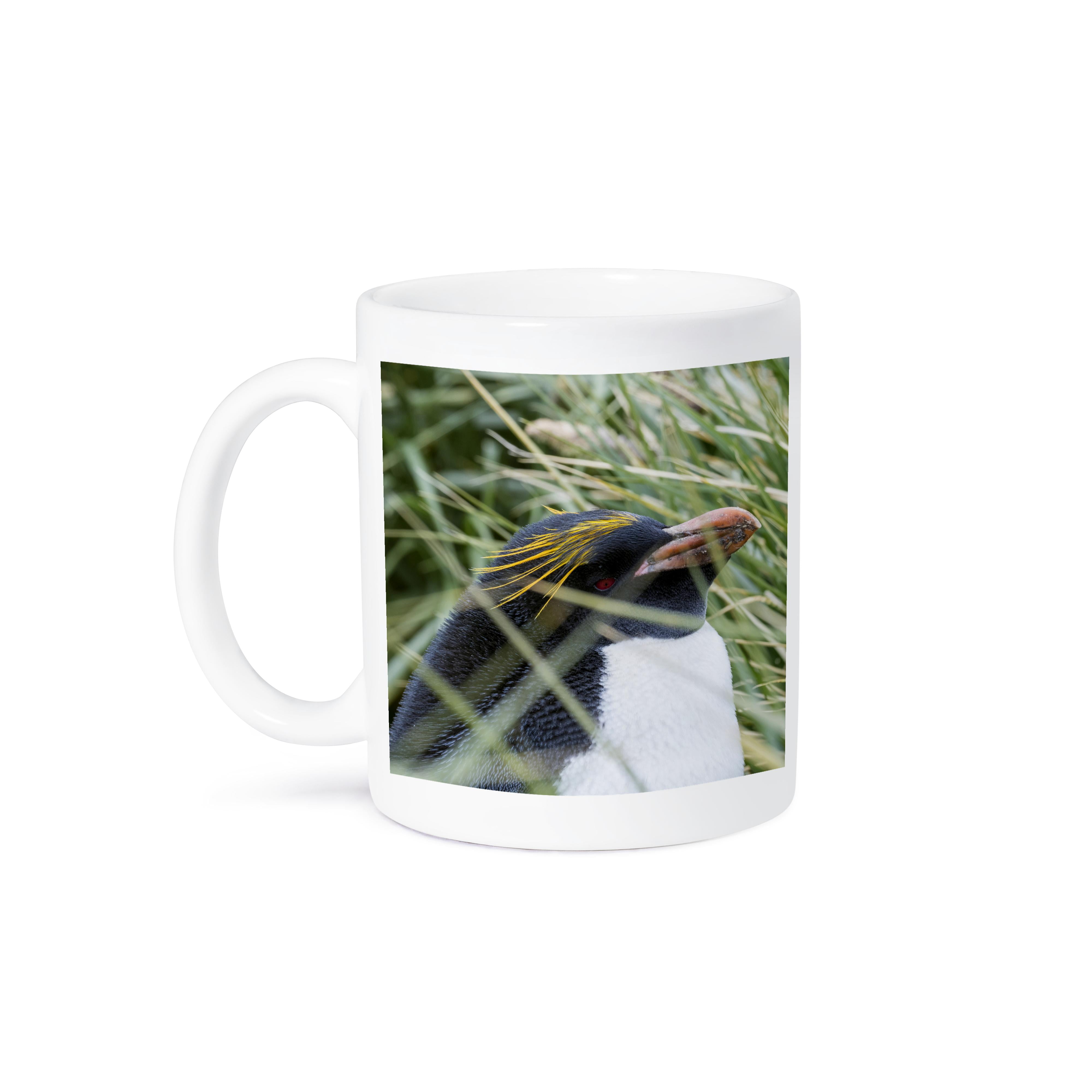 Macaroni Penguin, Colony In Dense Tussock Grass. South Georgia Is ...