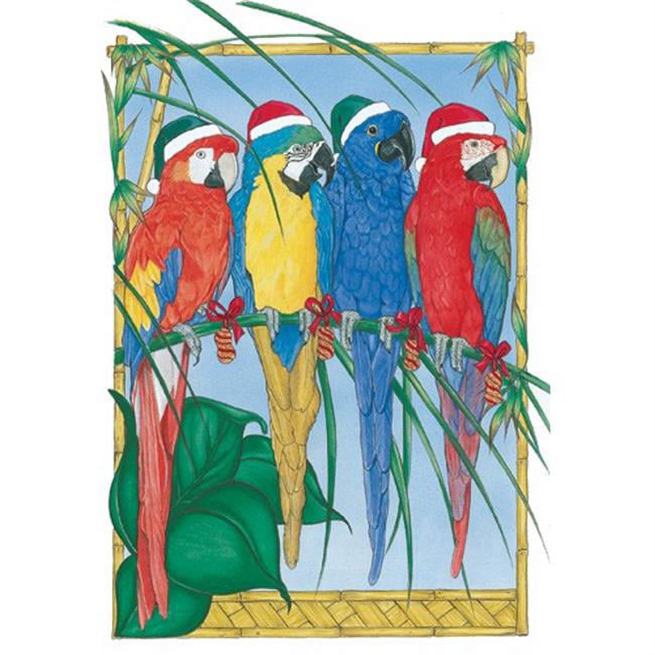 Macaw Holiday Bird Christmas Boxed Cards - Pack of 10 - Walmart.com