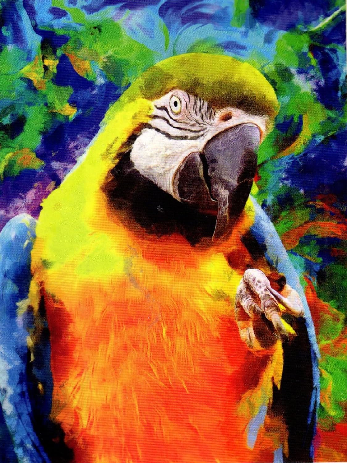 Macaw Oil Painting Jigsaw Puzzles for Adults 500 Pieces Fun Educational ...