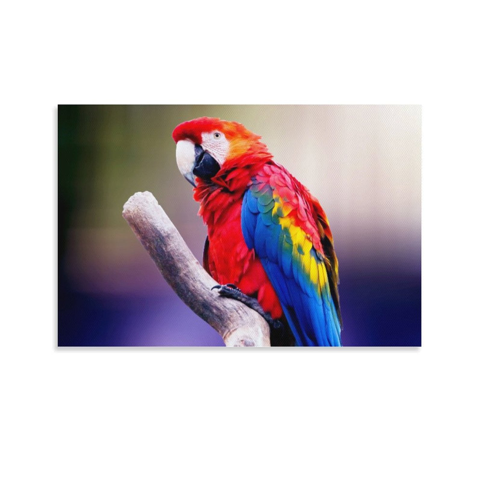 Macaw Parrot Poster Decorative Painting Canvas Wall Art Living Room ...