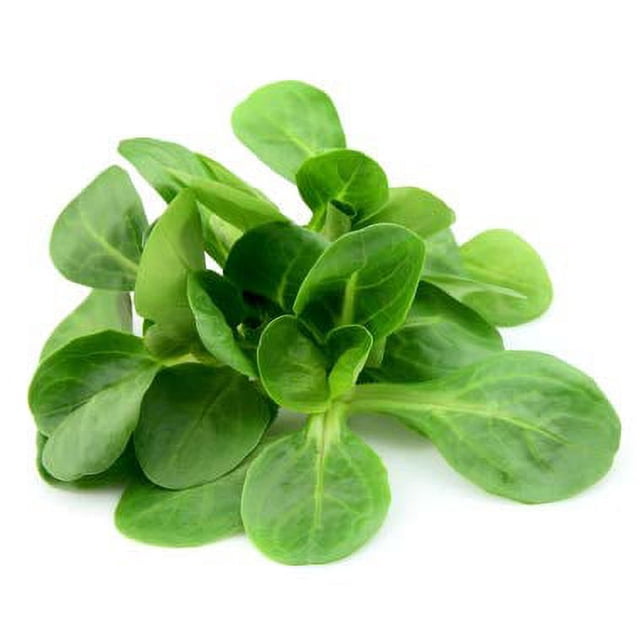 Marde Ross & Company 3000 Mache Lettuce Plant Seeds - Walmart.com