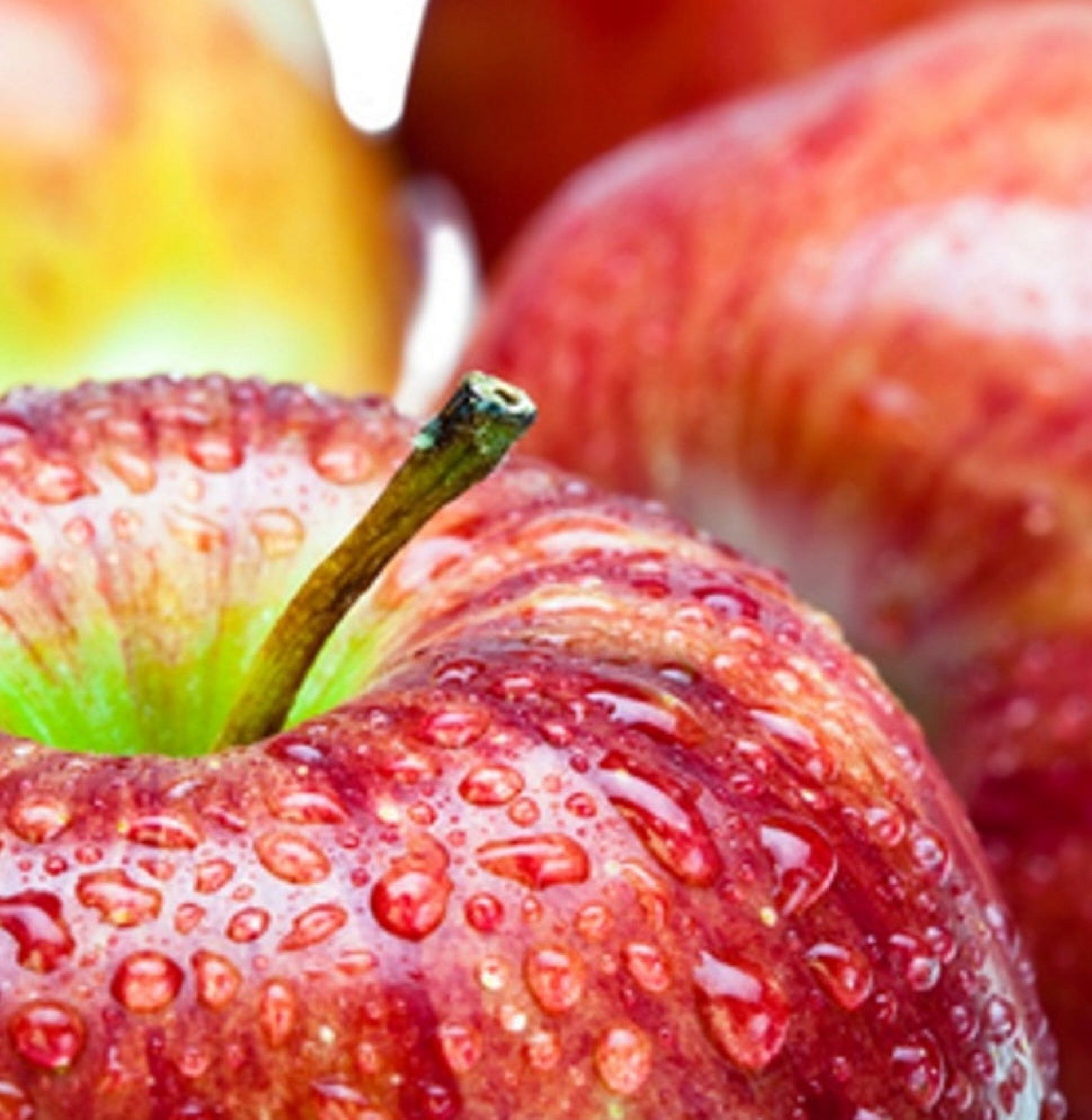 Macintosh Apple - Walmart.com