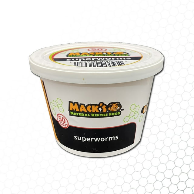 Mack's Natural Reptile Food 1 x Cup of 50 Large Superworms - Walmart.com