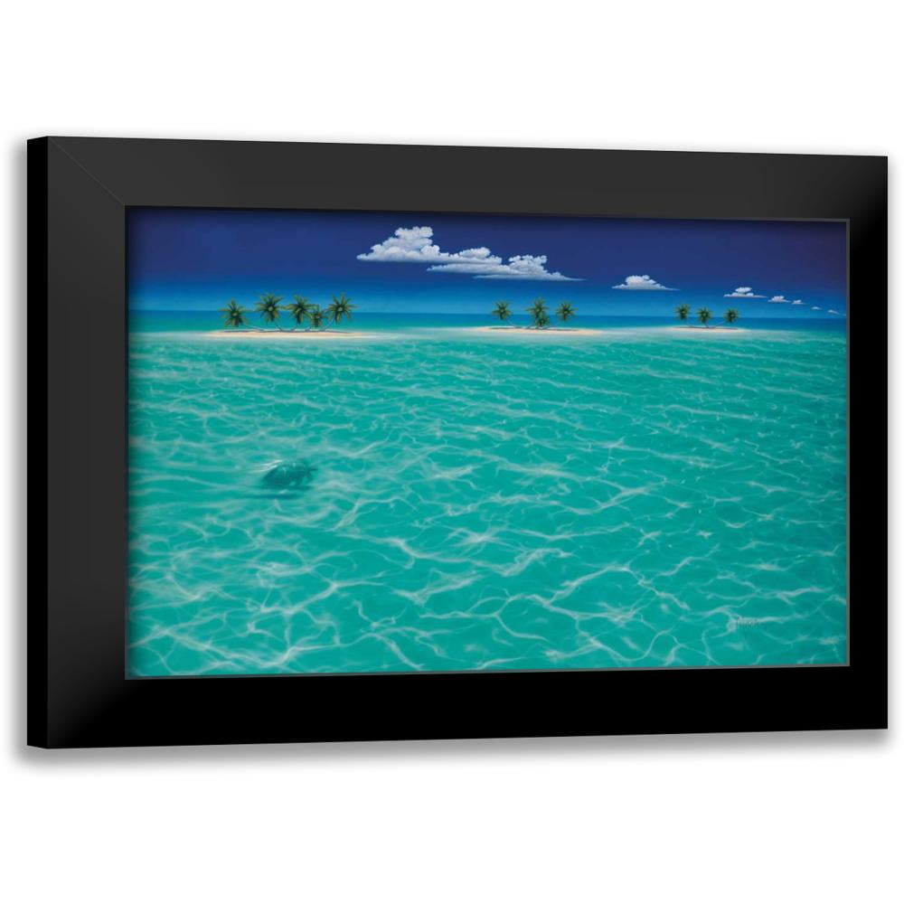 Mackin, Dan 18x14 Black Modern Framed Museum Art Print Titled - Turtle ...