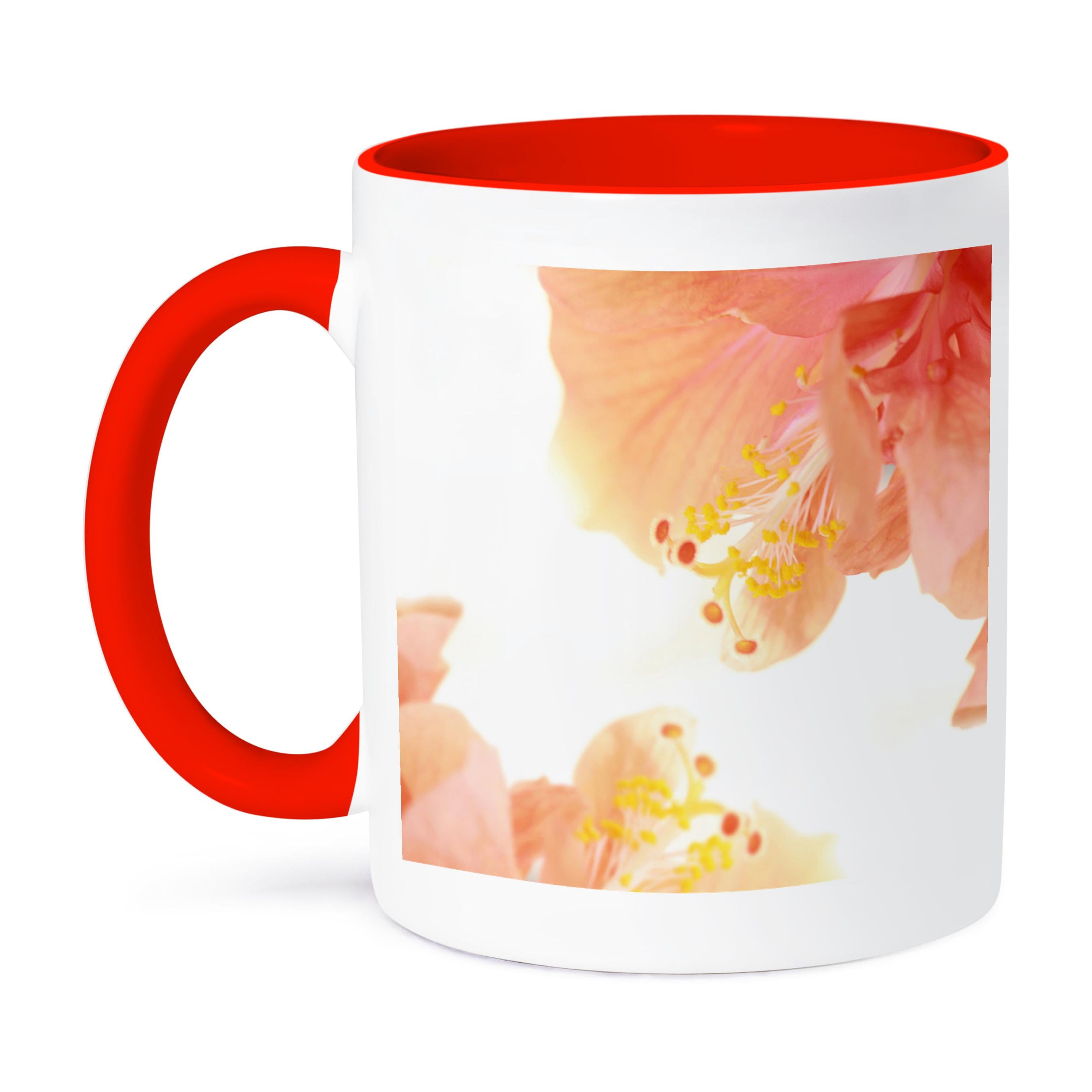 Macro Photo Of A Pair Of Double Orange Hibiscus Flowers On White., 15oz ...