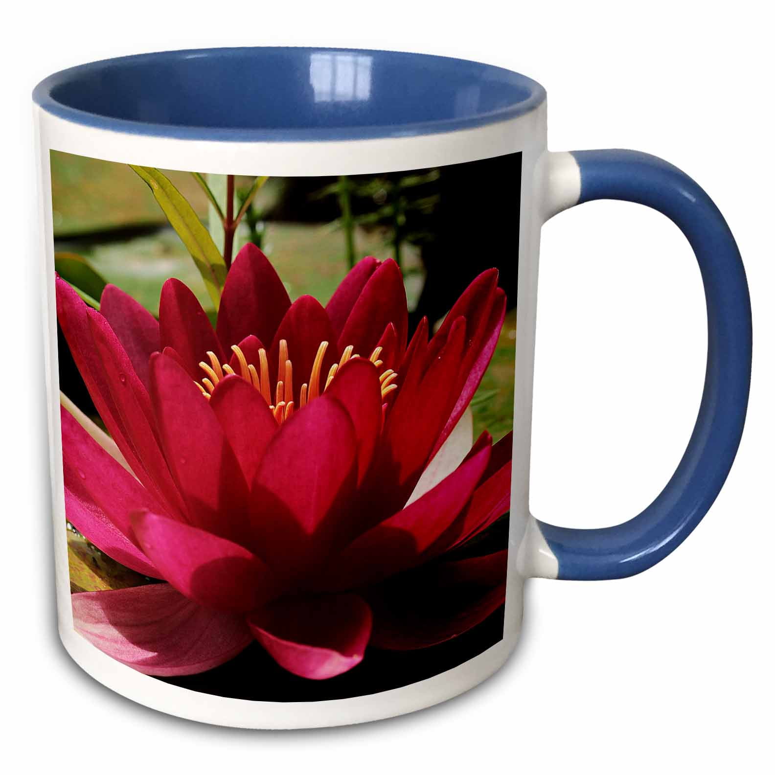 Macro Photography of Asia Lotus Flower Blossom Nature 15oz Two-Tone ...