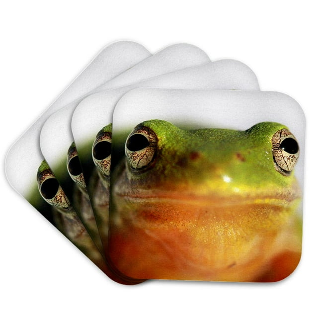 3dRose, Macro photograph of the face of a green copes gray tree frog., Set of 4 Coasters - Soft ...