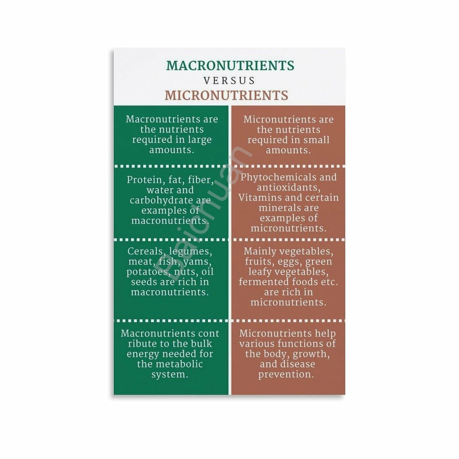 Macronutrients Educational Poster Gym Wall Art Nutrition (6) Canvas ...