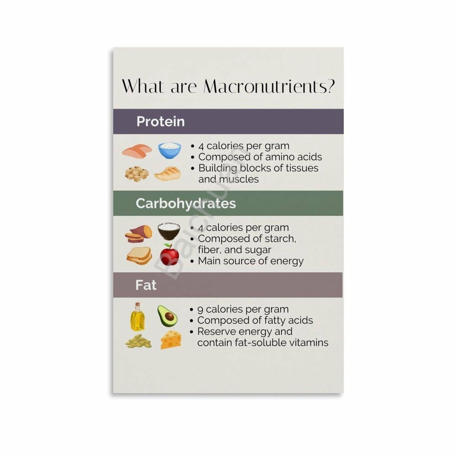 Macronutrients Educational Poster Gym Wall Art Nutrition (7) Canvas ...