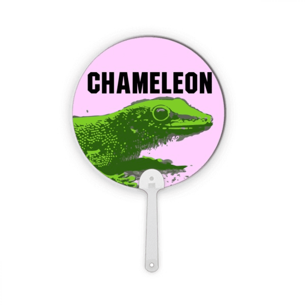 Madagascar Africa Chameleon Plastic Round Handheld Fan Decorations ...