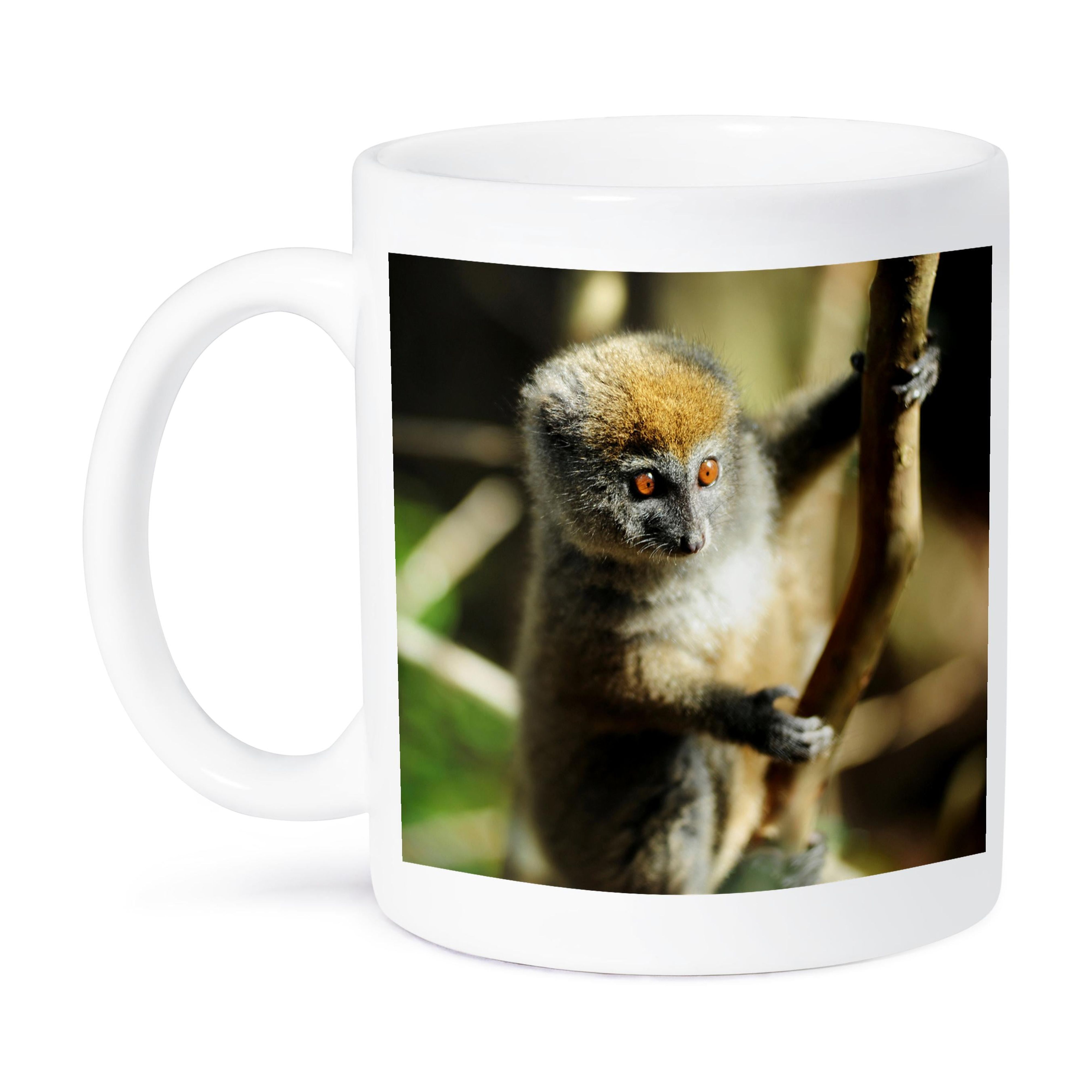 3dRose, Madagascar, Andasibe, Ile Aux Lemuriens, Baby Golden Bamboo ...