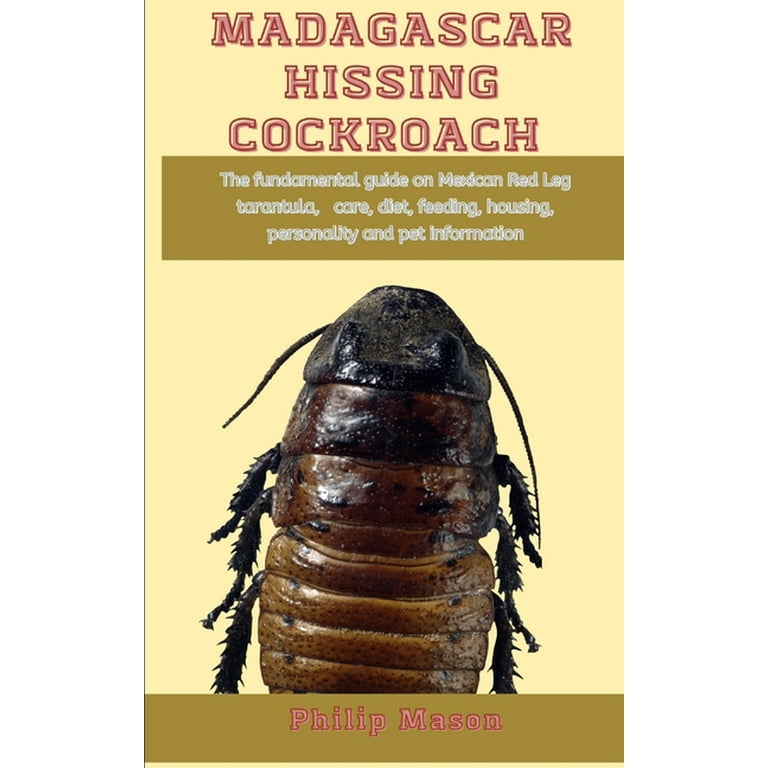 Cockroaches Diet