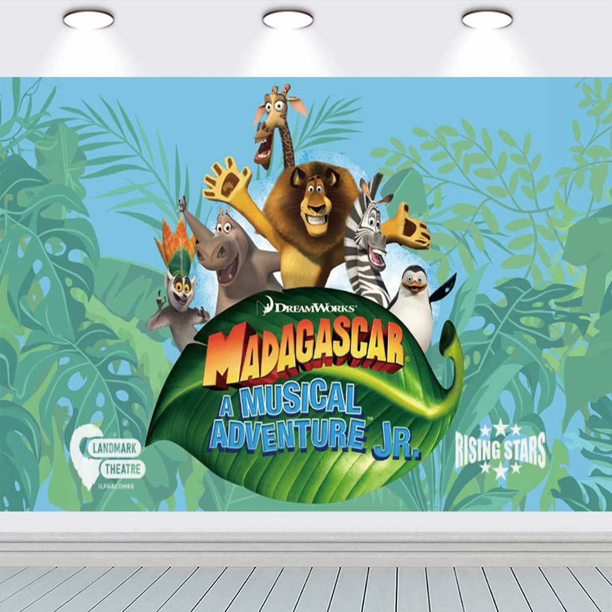 Madagascar school Backdrop Background Banner Taspestry Wall Decor ...
