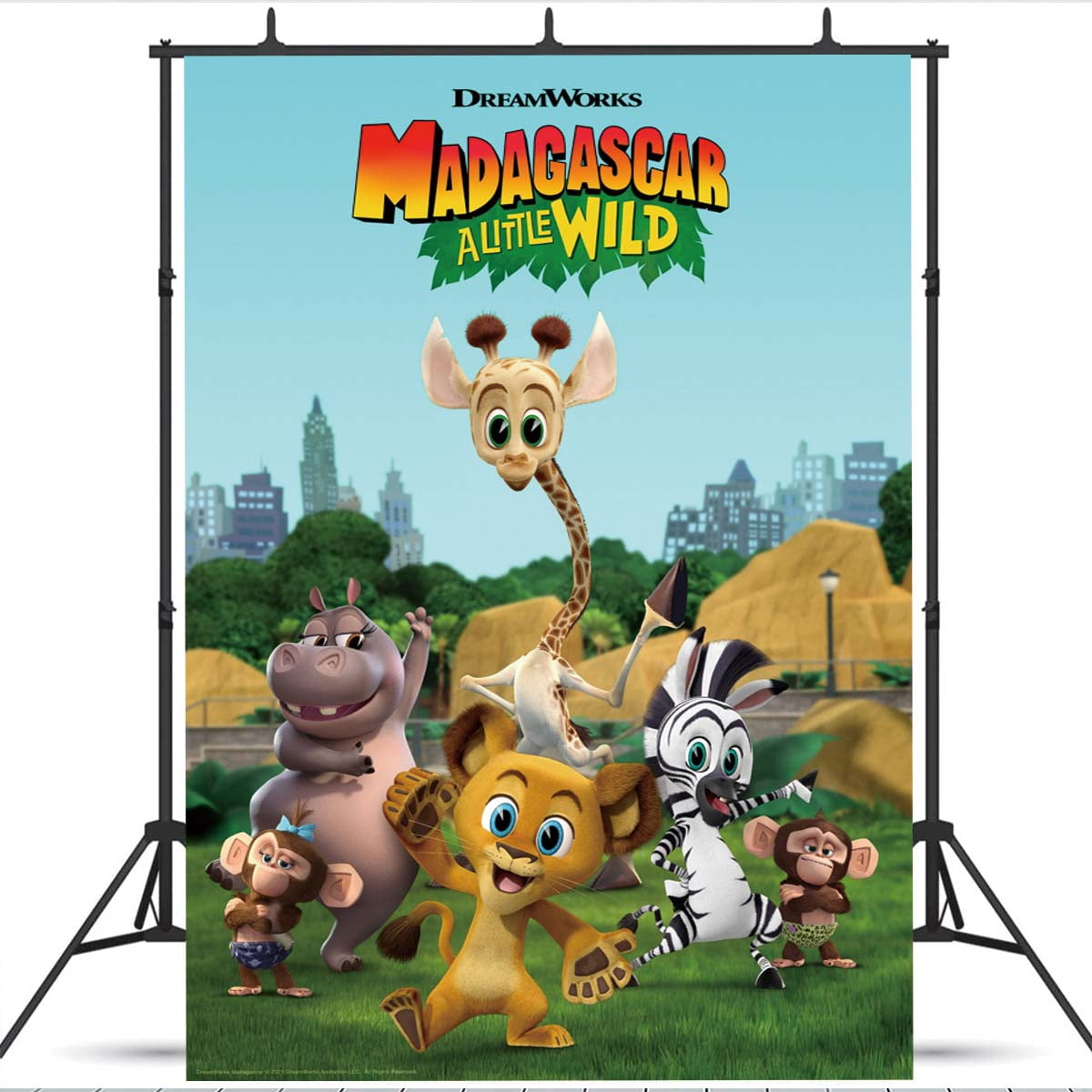 Madagascar school Banner Backdrop Background Taspestry Wall Decor ...