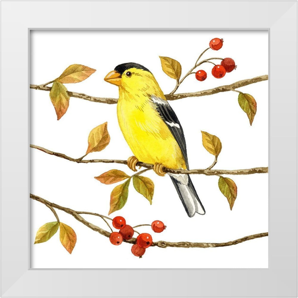 Maday, Jane 26x26 White Modern Wood Framed Museum Art Print Titled ...