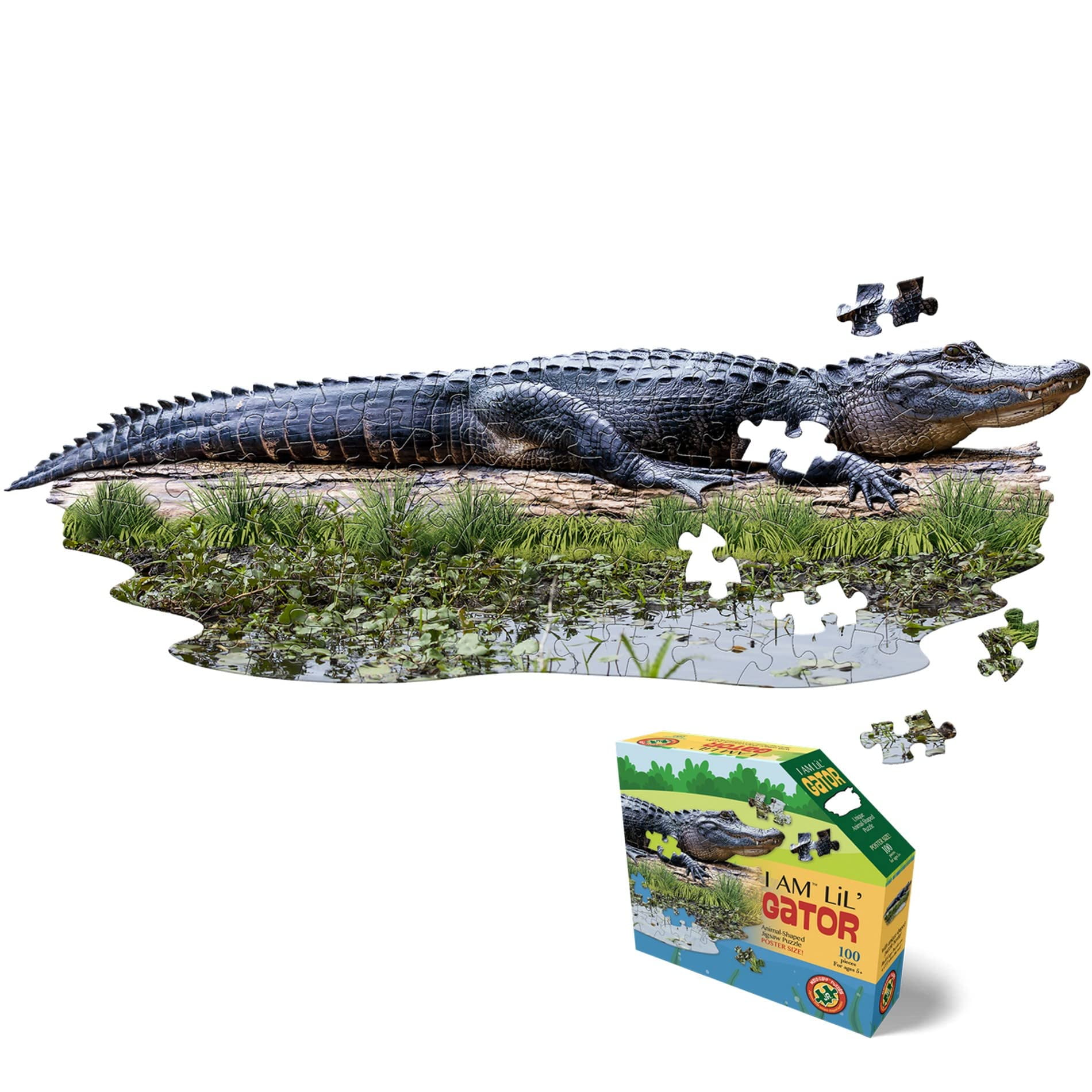 Madd Capp Puzzles Jr. EC36 - I AM Lil' Gator - 100 Pieces - Animal ...