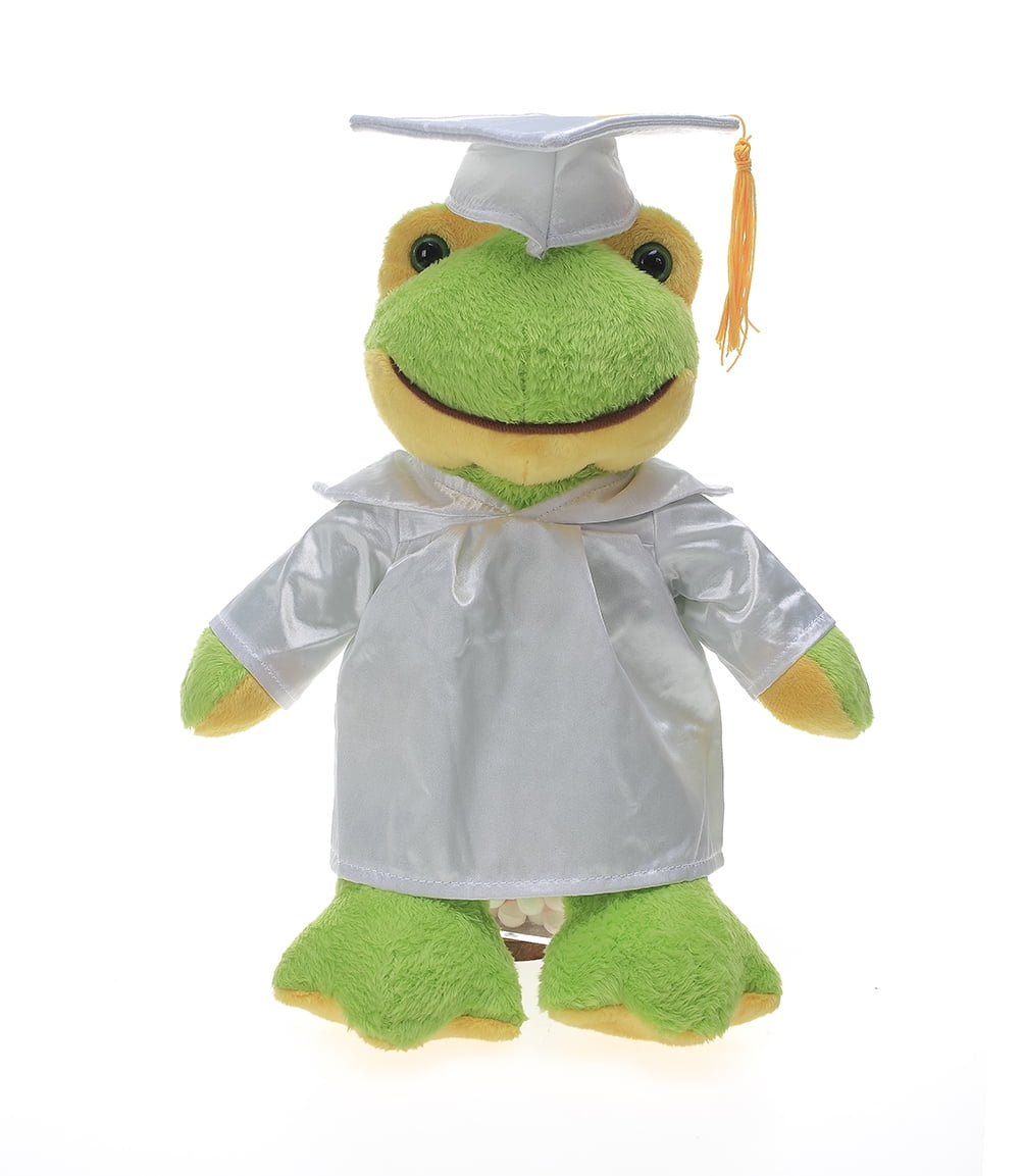 Made by Aliens Personalized Frog Stuffed Animal Plush Toy – Perfect ...