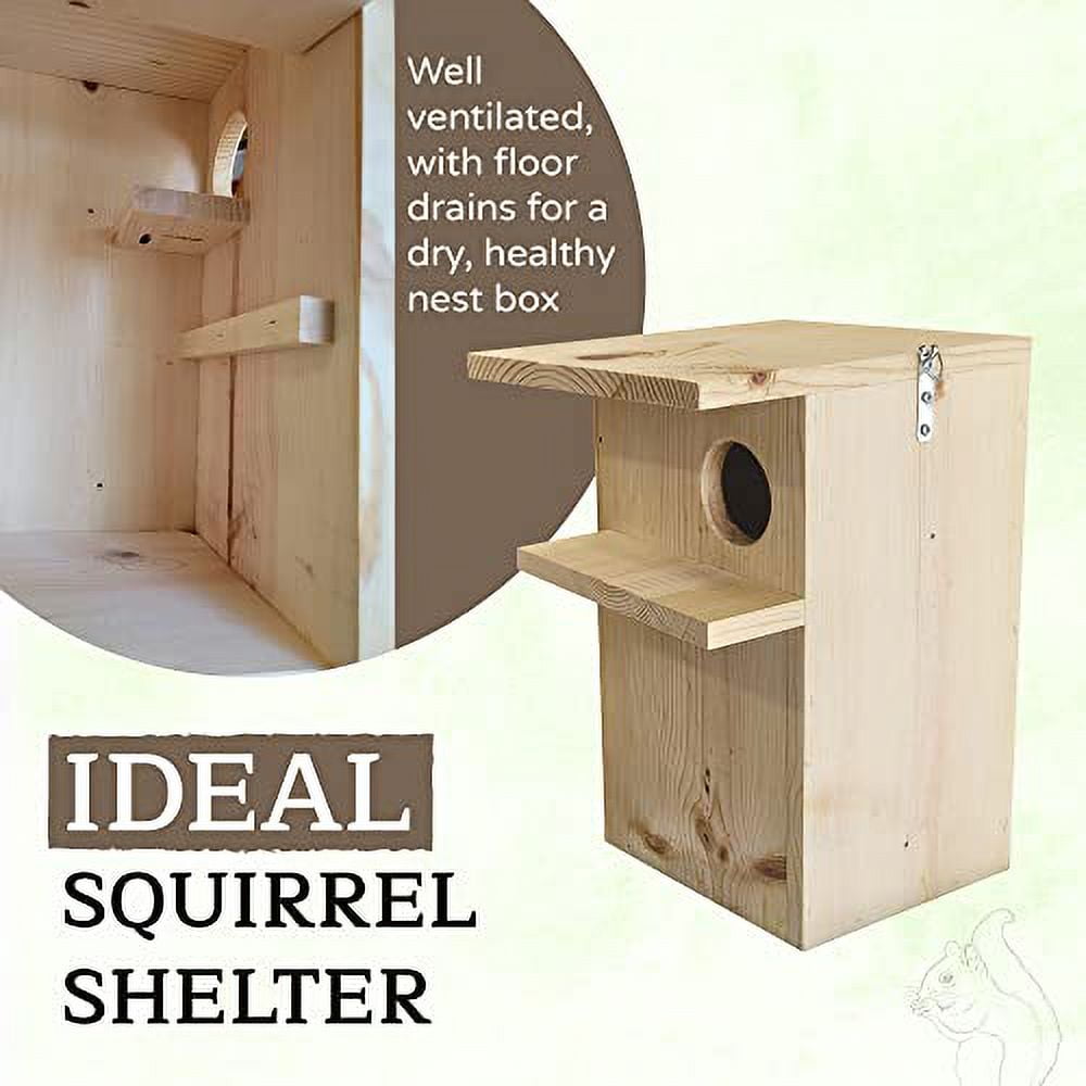 Made in USA, Premium Wood Squirrel House, Hanging Squirrel Houses for ...