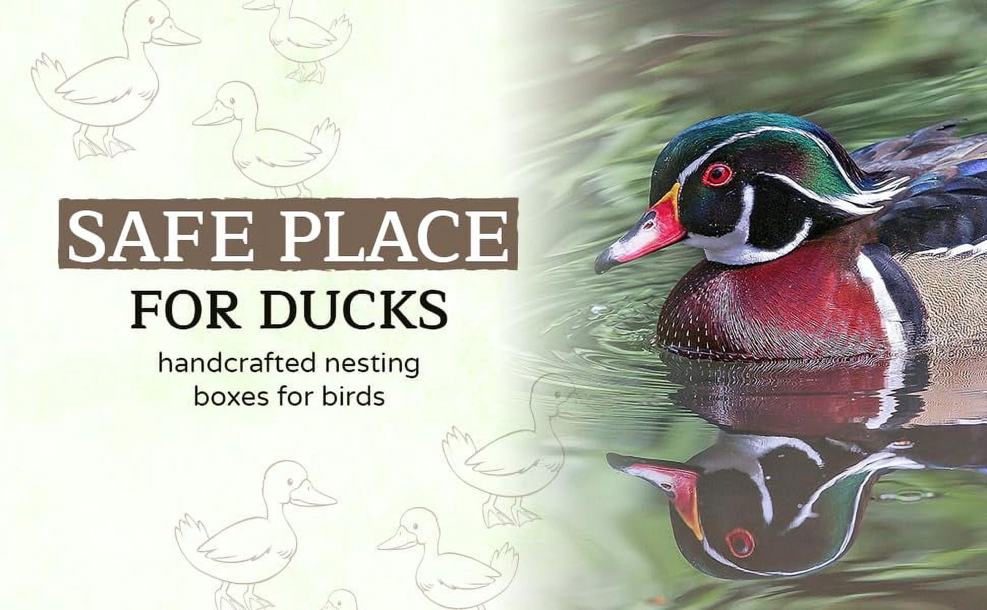 Made in USA, Premium Pine Wood Duck House, Ready to Install Nesting Box ...