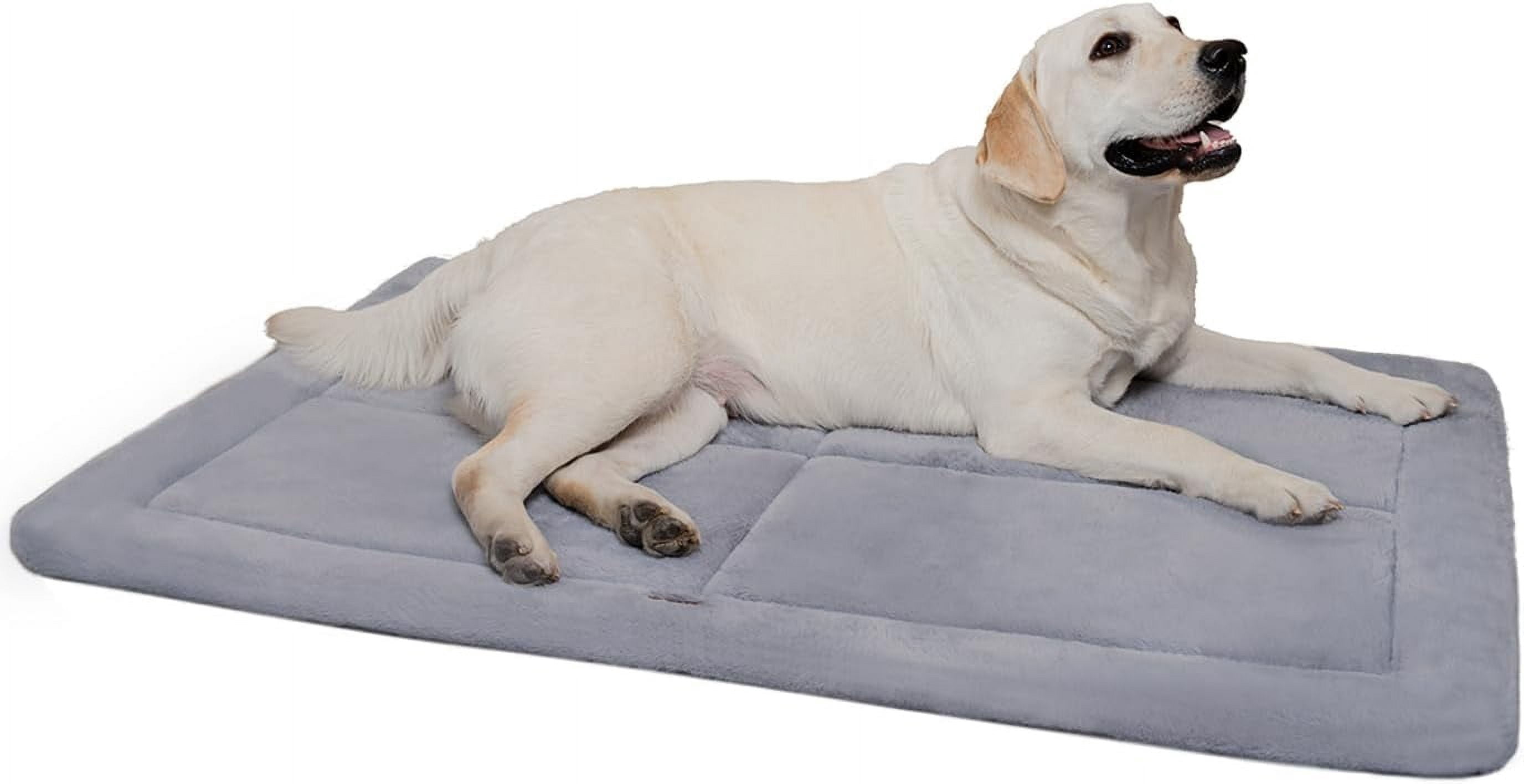 Made4pets Washable Dog Bed for Size Dogs, Reversible Foam Floor Dog Mat ...
