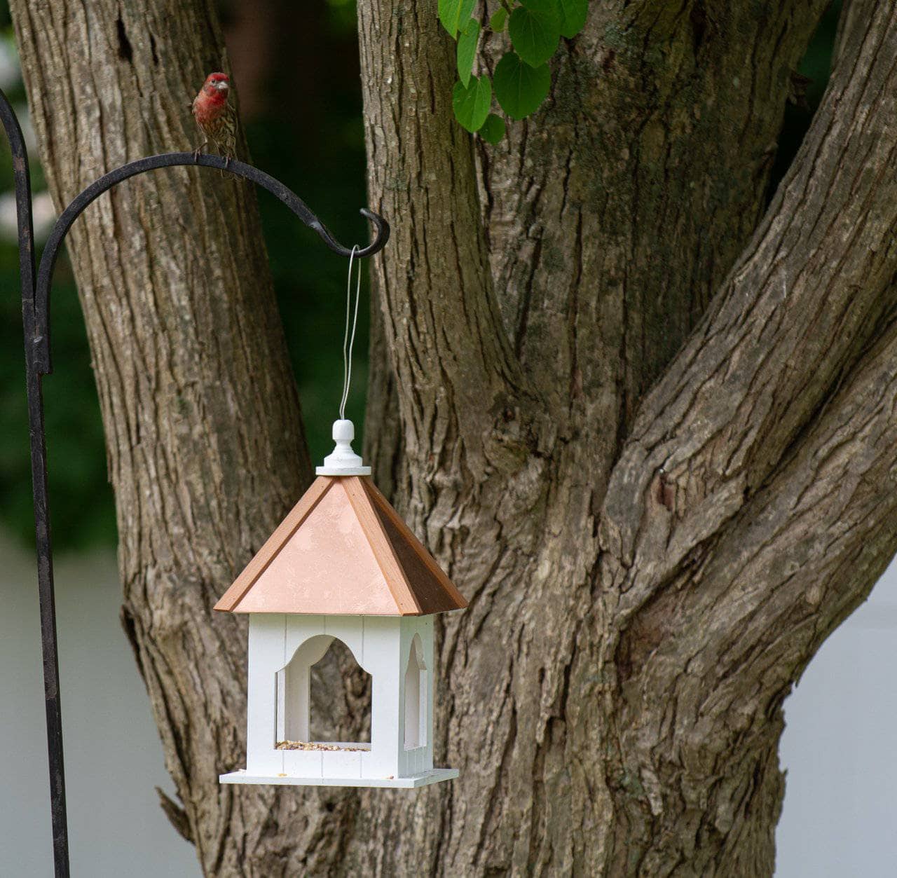 Madison Bird Feeder - Walmart.com