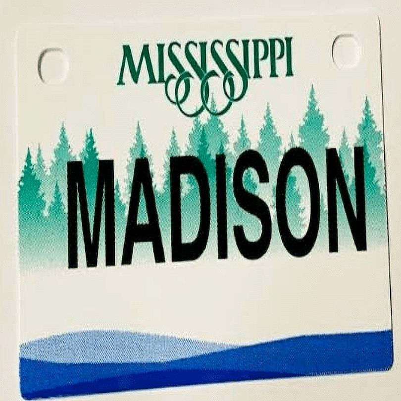 Madison Mini Bike Plate Add On Accessory - Walmart.com