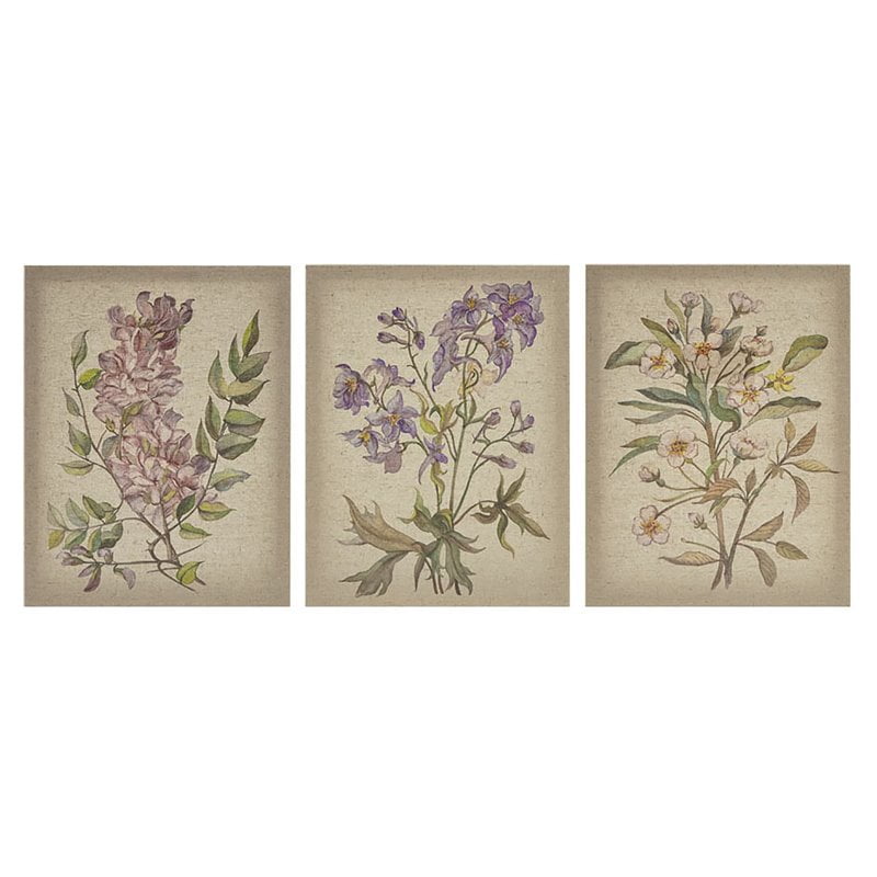 Trademark Fine Art 'Twining Botanicals VII' Canvas Art by Elizabeth ...