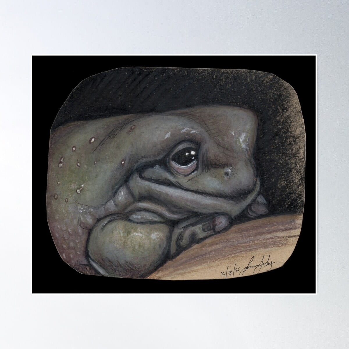 Maeve The Frog Pastel Drawing (Side View) Poster Wall Art, Modern Wall ...
