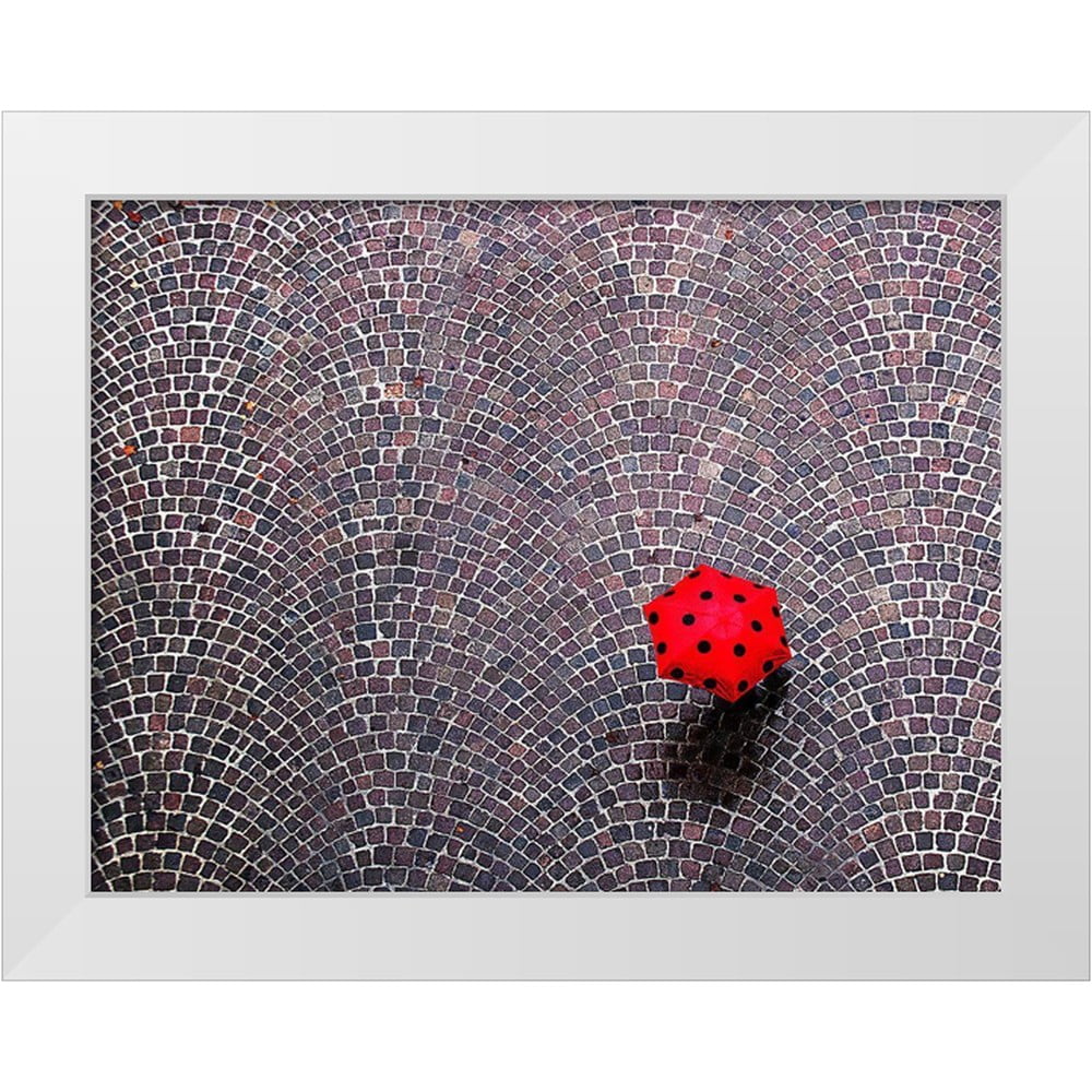 Maffei, Franco 24x19 White Modern Wood Framed Museum Art Print Titled ...