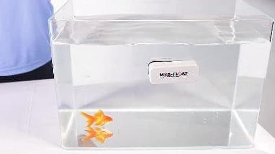 Mag Float Floating Magnetic Aquarium Cleaner - Acrylic - Medium (130 ...