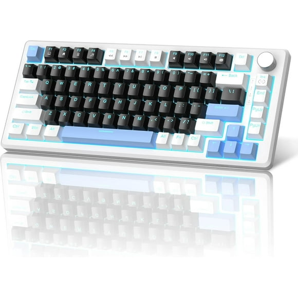 Explore a Wide Range of Half Keyboards for Gaming and Productivity