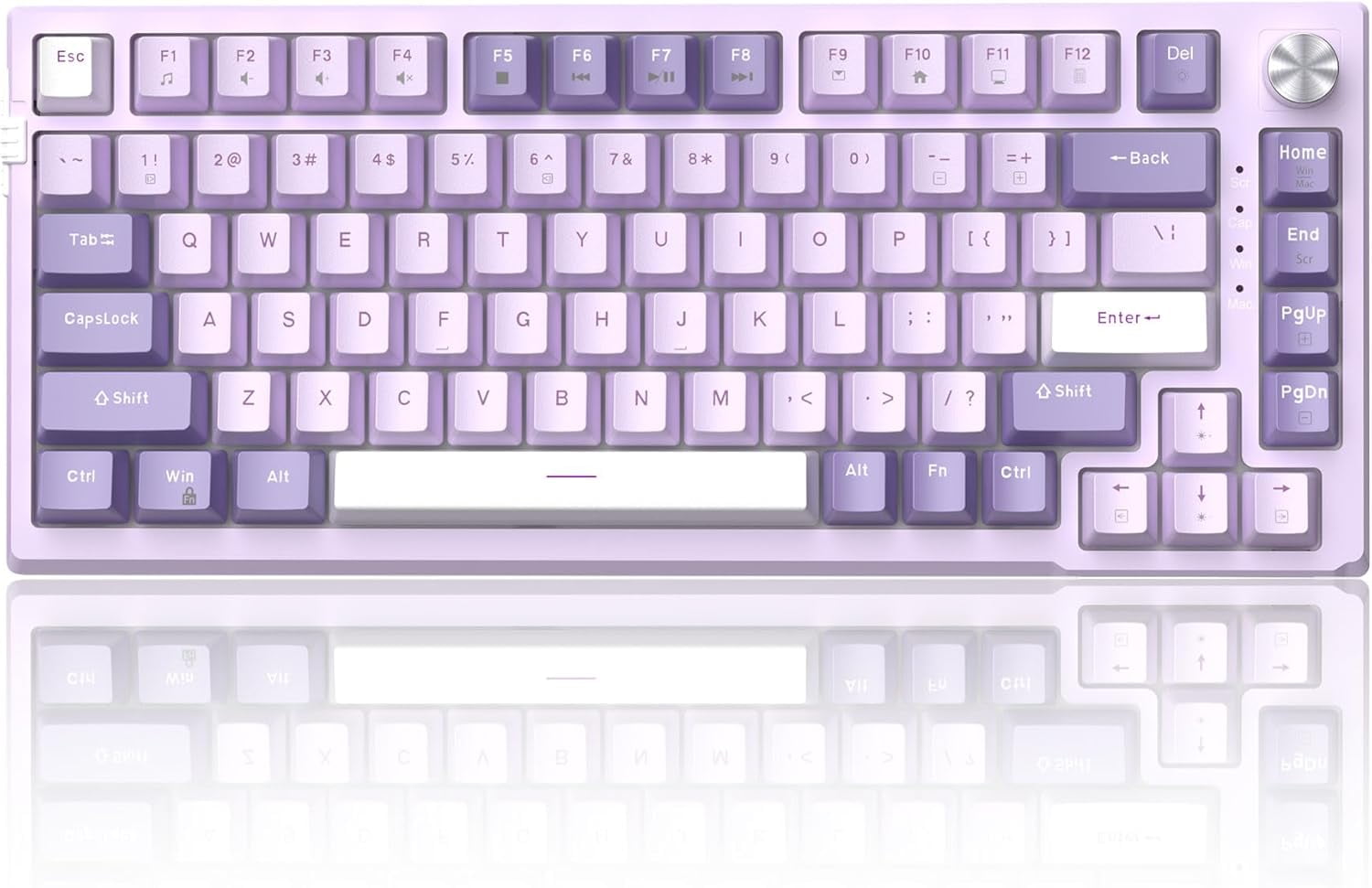 MageGee SKY81 75% Mechanical Gaming Keyboard, Hot Swappable Wired ...