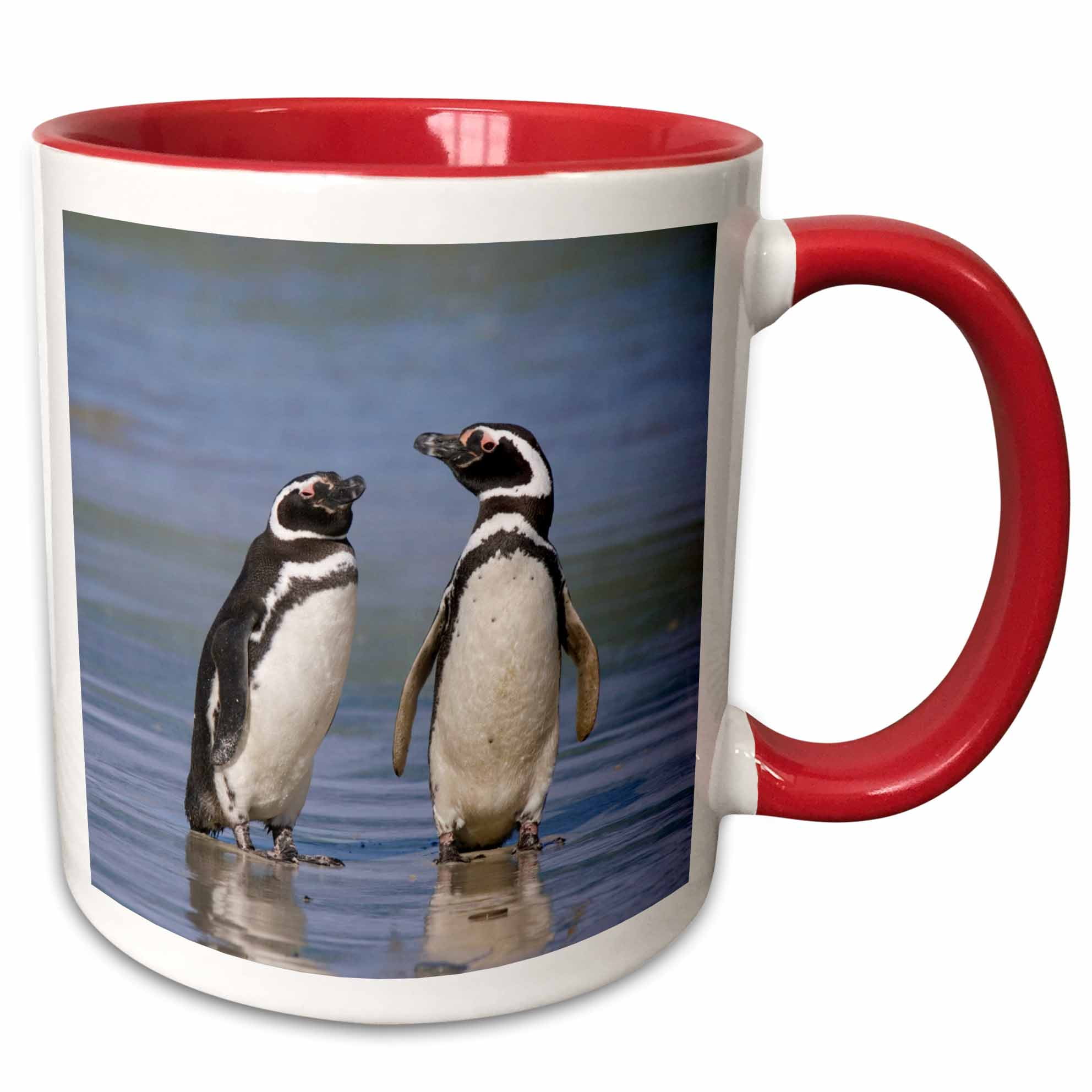 3drose, Magellanic Penguins Rest Together on the Beach - Sa09 Hro0010 ...