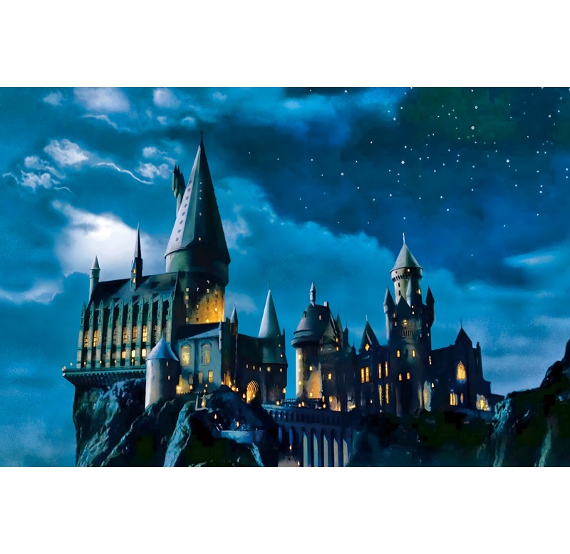 Magic Castle School Brick Wall Background Customized Boy Castle Magic ...