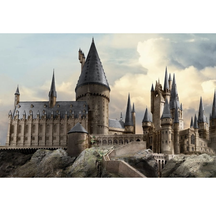 Magic Castle School Brick Wall Background Customized Boy Castle Magic ...