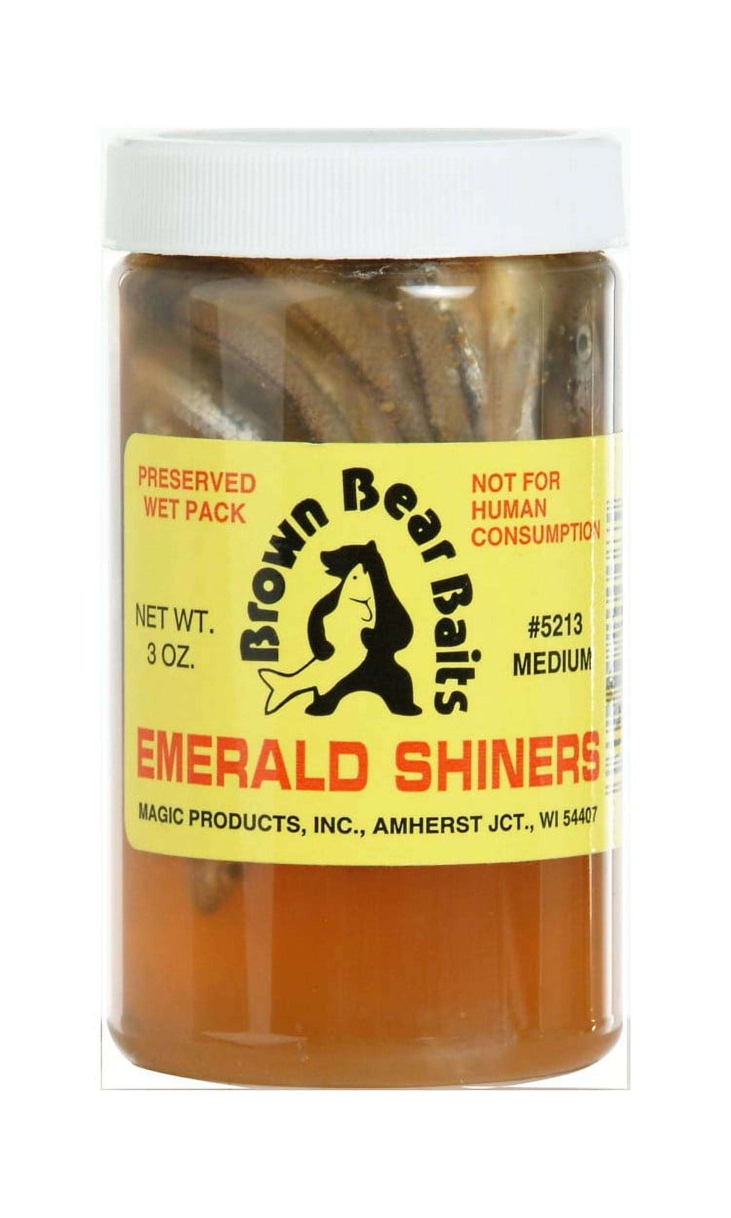 Magic Clean Products Preserved Medium Minnows for Gamefish and Panfish ...