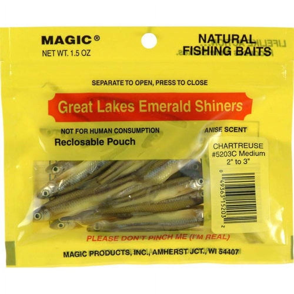 Magic Clean Products Shiner Minnows, Anise Scented, Chartreuse, for ...