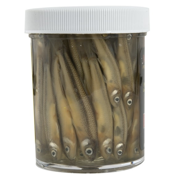 Magic Emerald Shiner Minnows Jar - Walmart.com