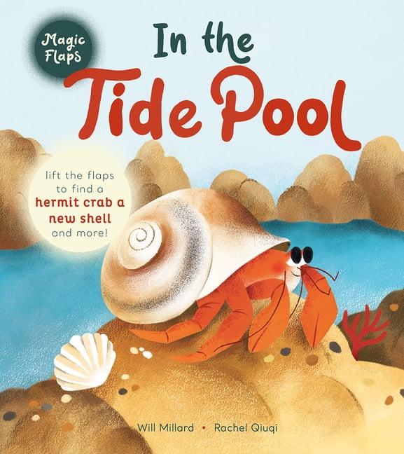 Magic Flaps In the Tide Pool: A Magic Flaps Book, (Board Book) - Walmart.com