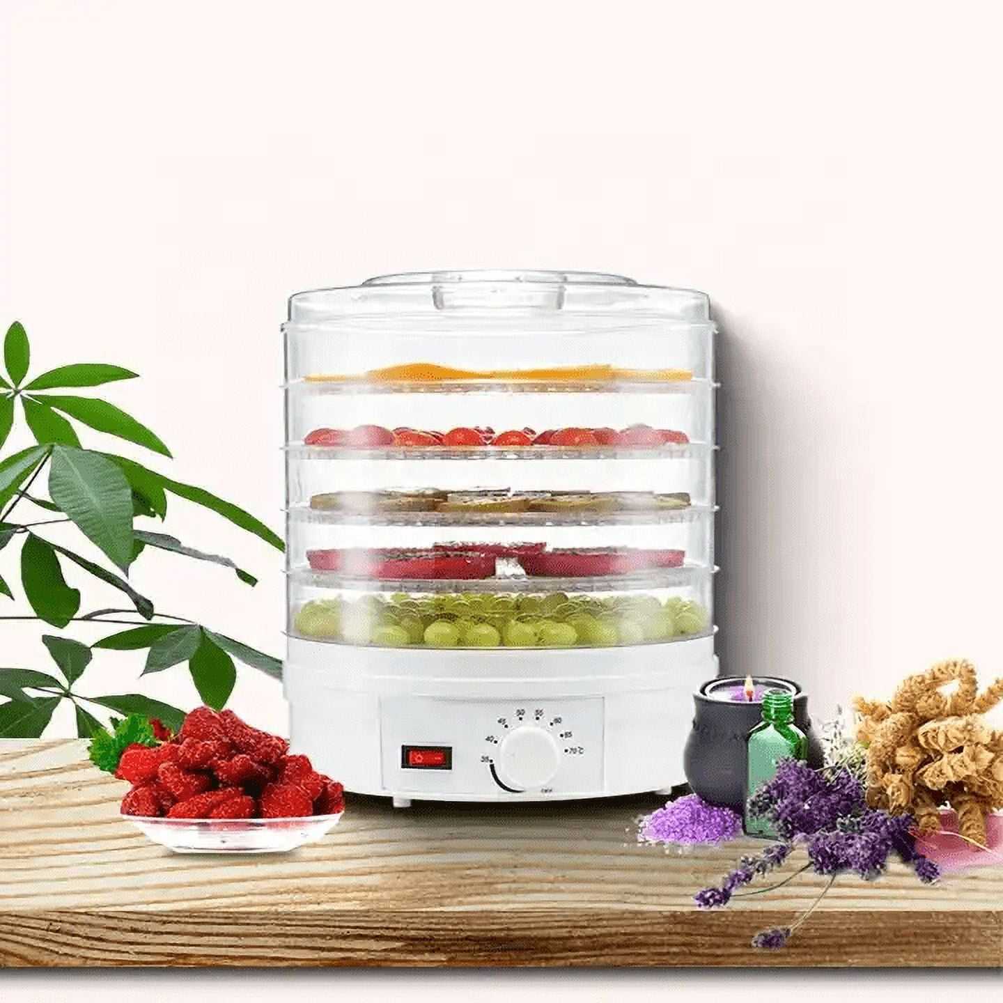 Magic Healthy Food Dryer Professional Dehydrator with Temperature ...