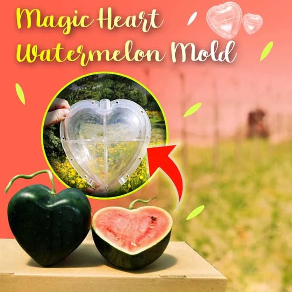 Magic Heart-shaped Watermelon Shaping Growth Molds Magic Heart Fruit ...