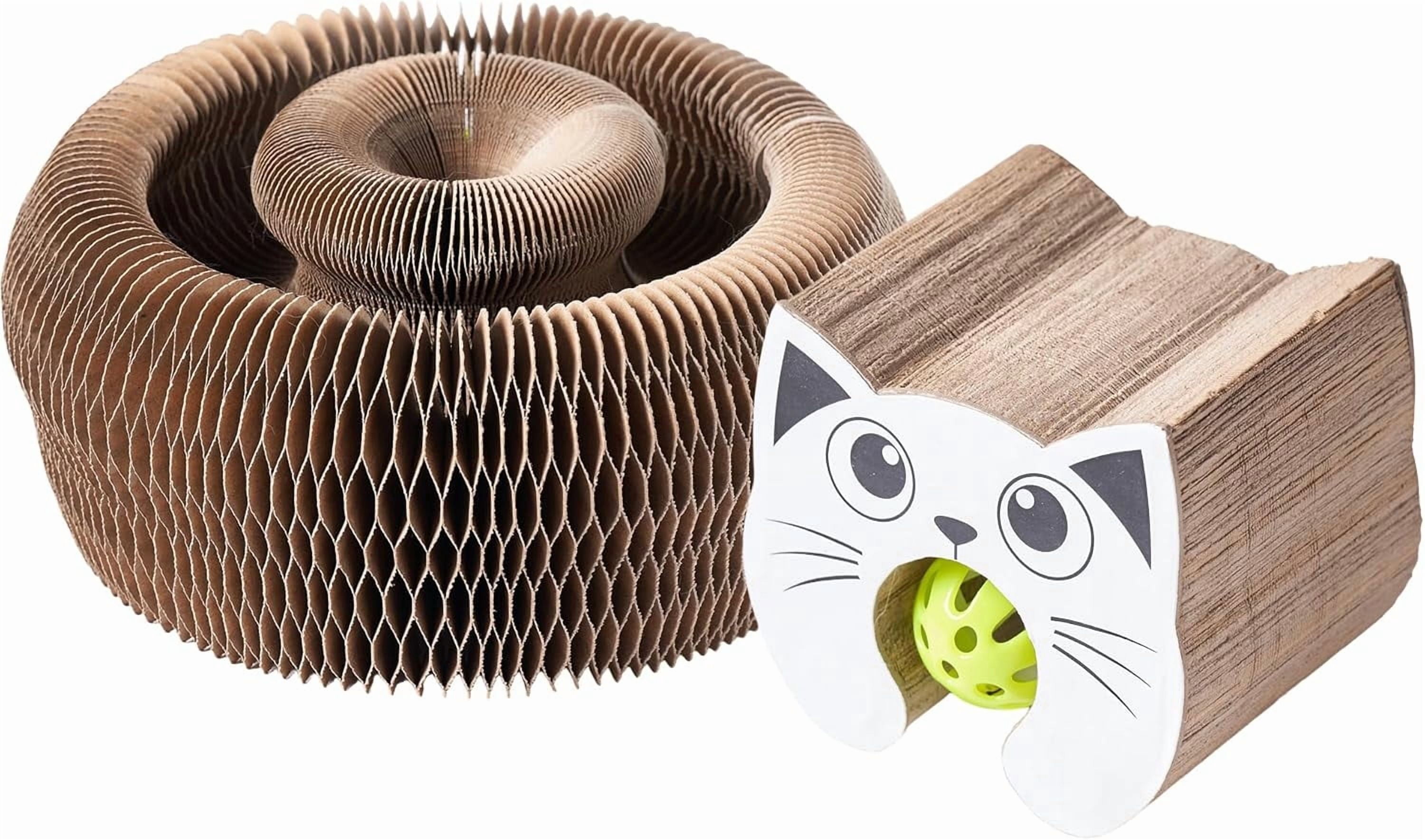 Magic Organ Cat Scratcher Board Cat Ball Adventure The Ultimate ...