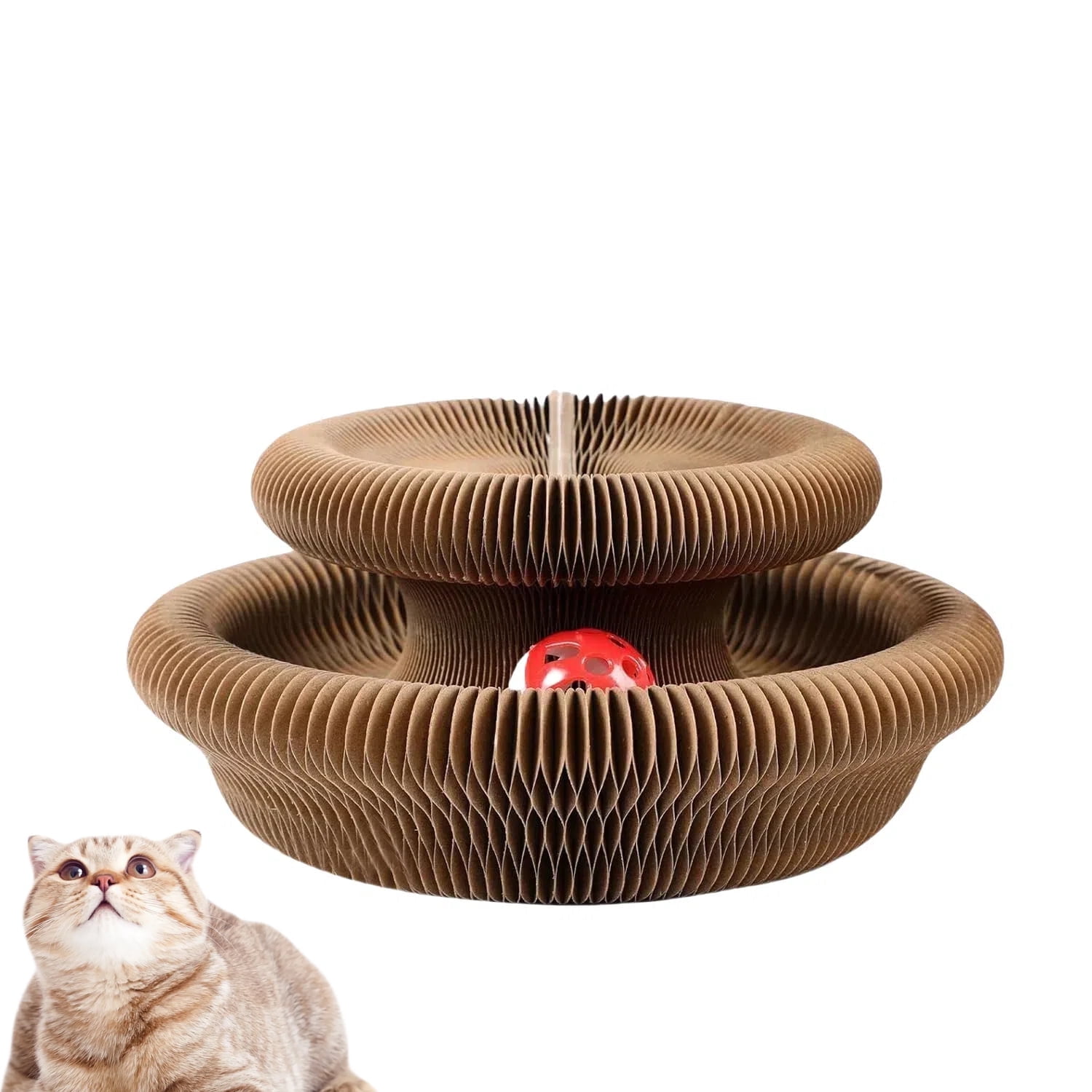 Organ Cat Scratching Board,Kitten Fun Intelligence Physical Exercise ...