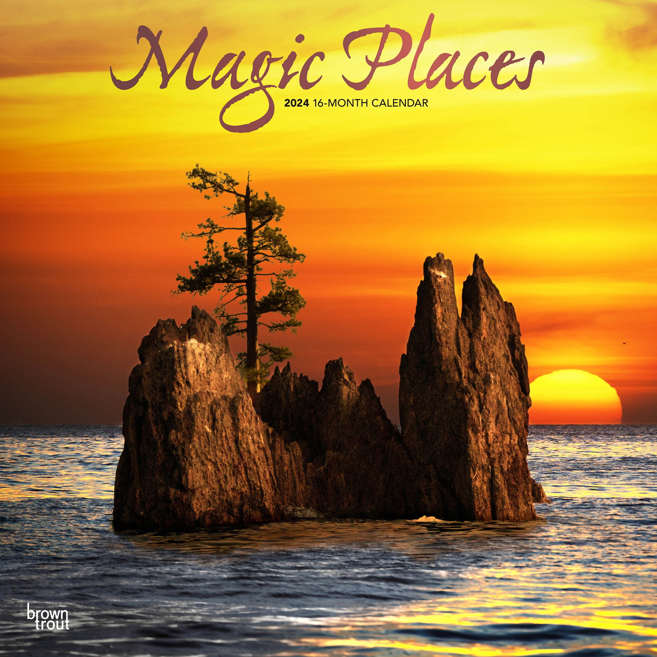 BrownTrout Magic Places 2024 Full Year Large 12x24" Hanging Square Wall ...